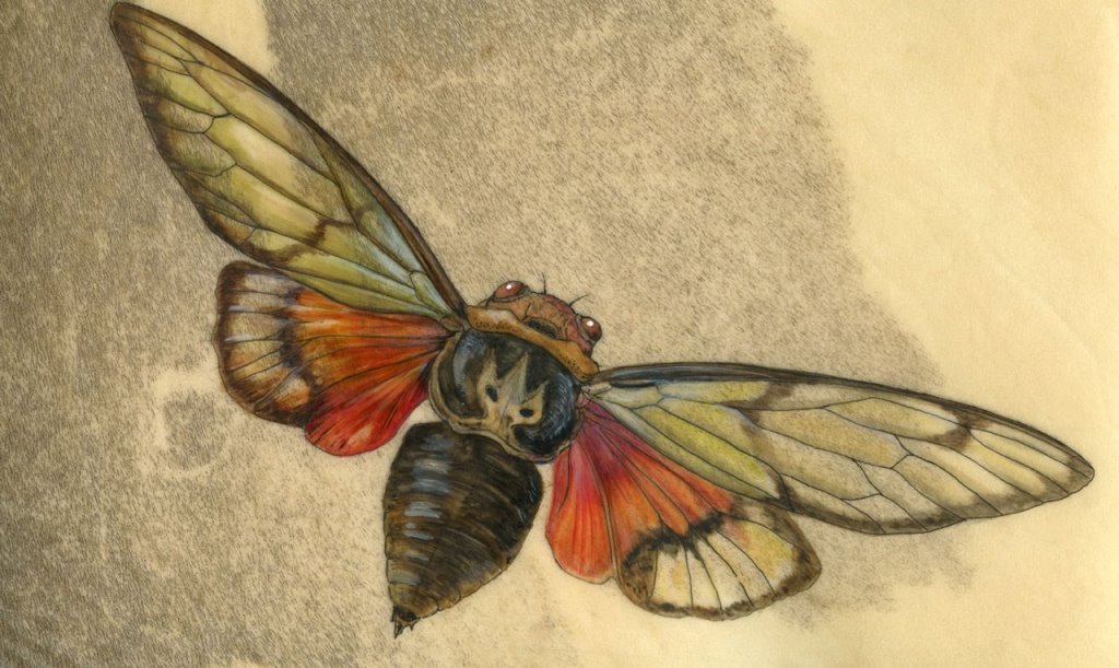 Poem 'Cicada and Mantis' and Other Poetry by Ron L. Hodges | Society of ...