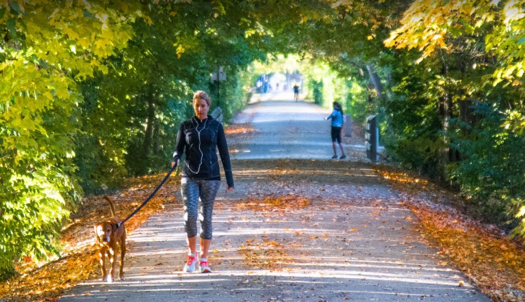 monon trail | Society of Classical Poets