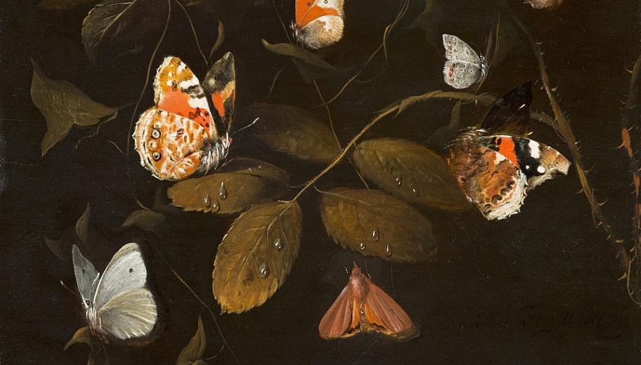 Poem 'Moth, Angel of the Night' and Other Poetry by Michael Zhao ...