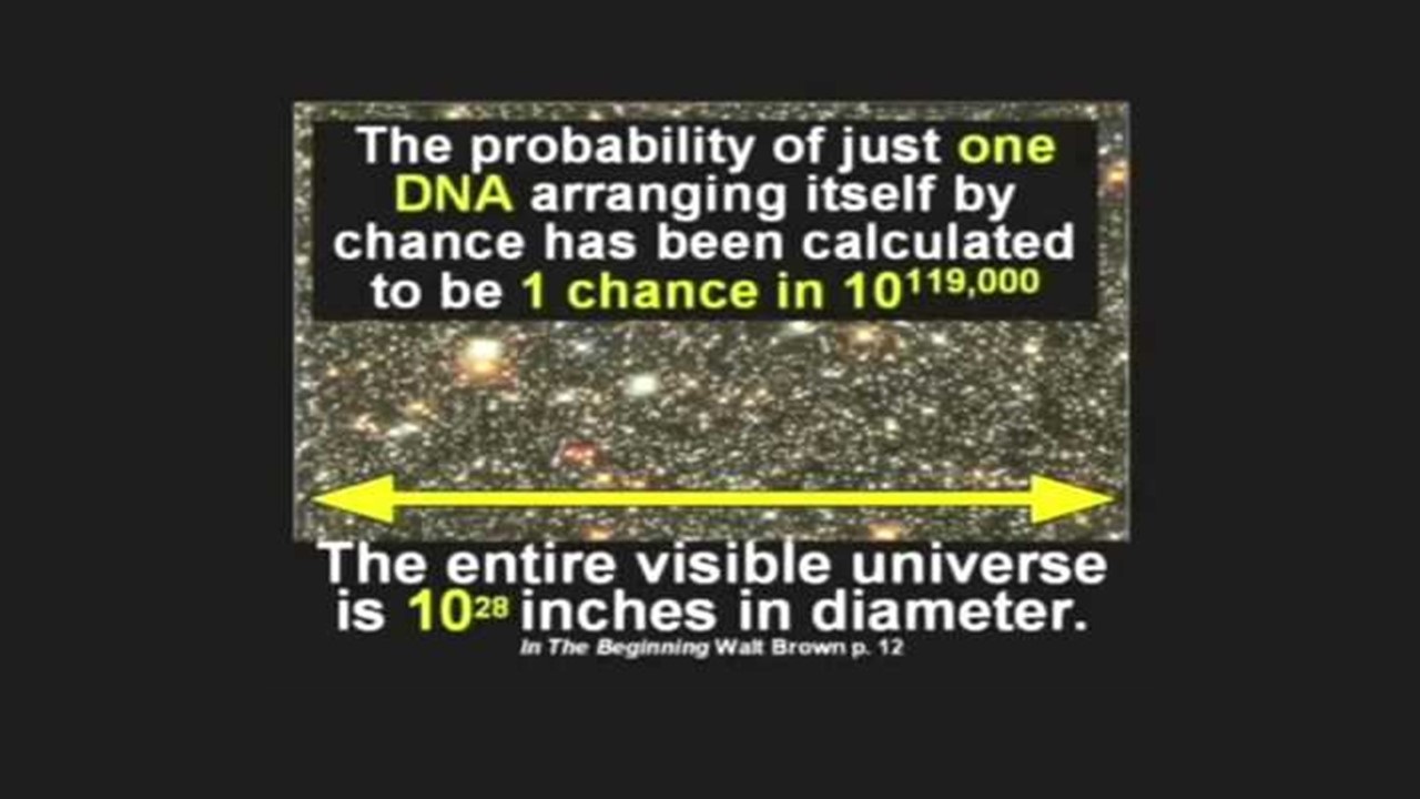 facts about improbability of evolution | Society of Classical Poets