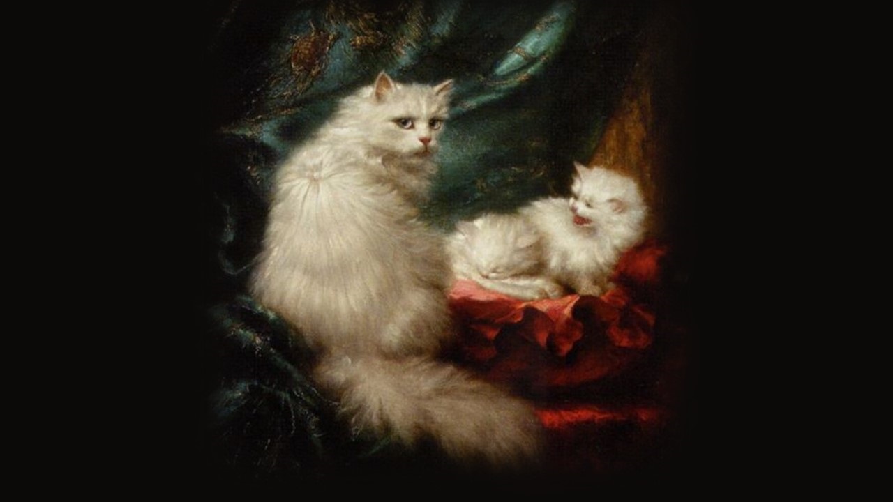 Poem 'Spoiled-Rotten Cat Instructs Visitors' and Other Limericks by ...