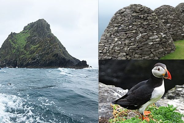 The Society of Classical Poets