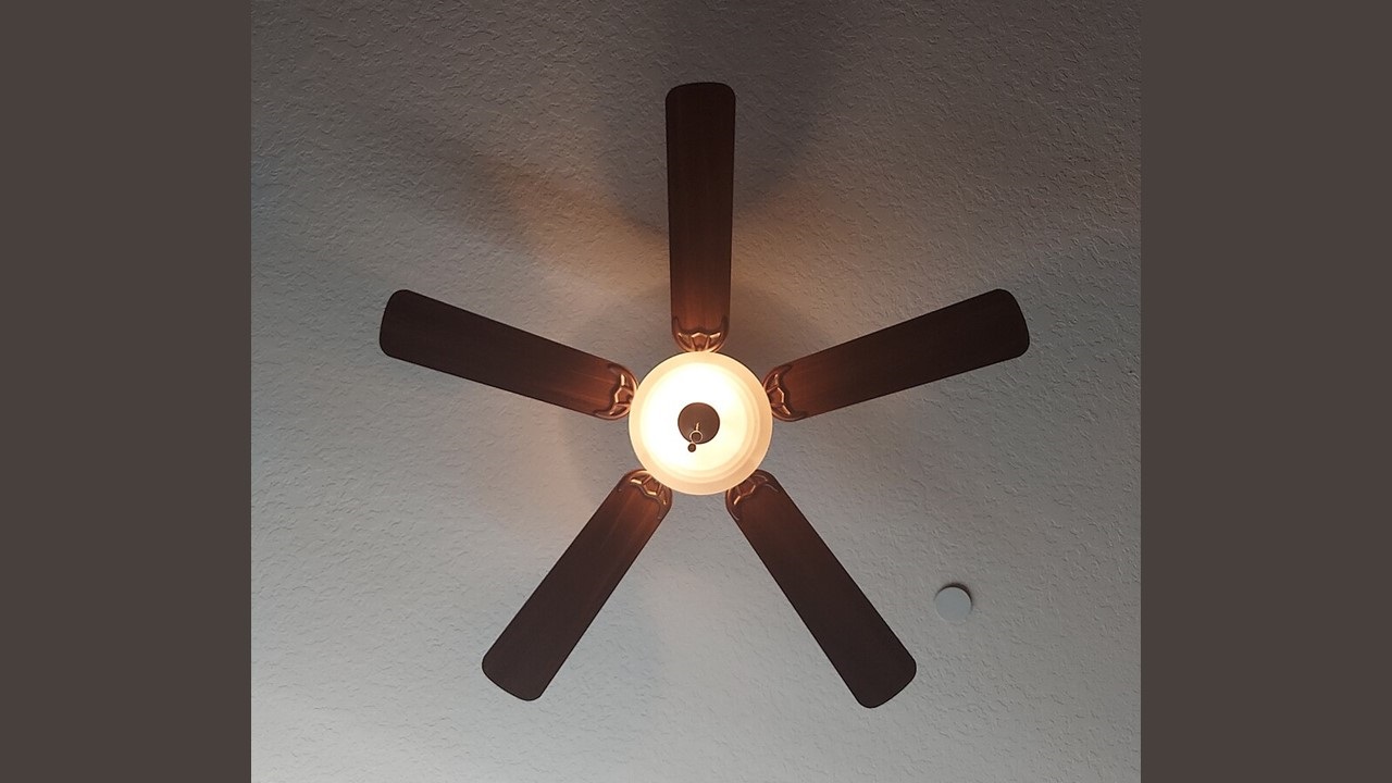 Poem 'A Ceiling Fan's Life (Is Like a Man's)' and Other Poetry by ...
