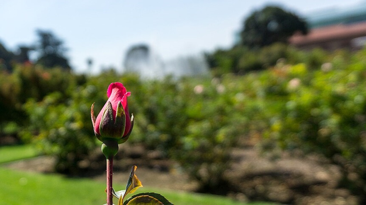 Poem 'Spring’s Unfolding View': A Poem by Bruce Dale Wise | Society of ...