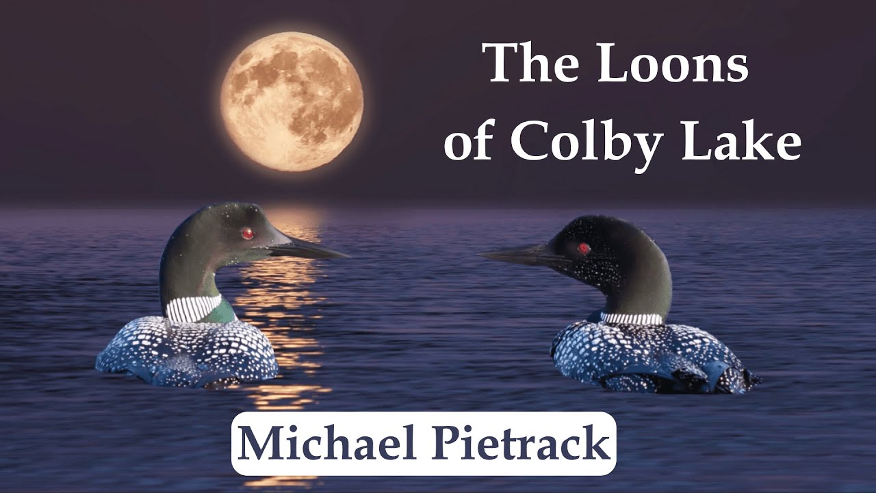 Poem A Video Reading of the Poem 'The Loons of Colby Lake' by Michael ...